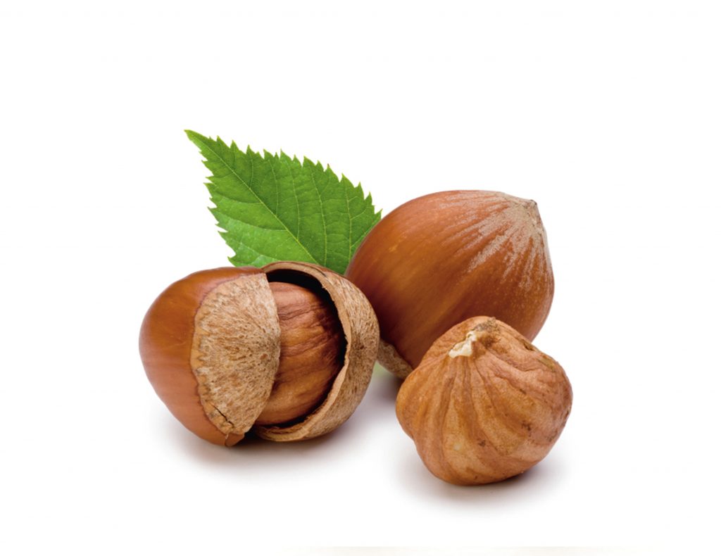 roasted hazelnut | International Franchise Inc.